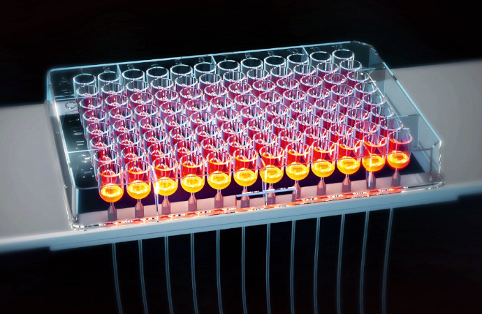 Fused Imaging Fiber Optics | SCHOTT