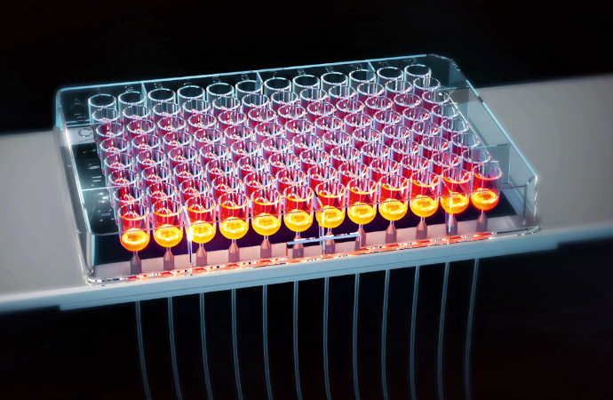 LED Fiber Lighting Modules for efficient coupling | SCHOTT