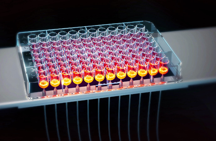 Light Guide Rods | SCHOTT