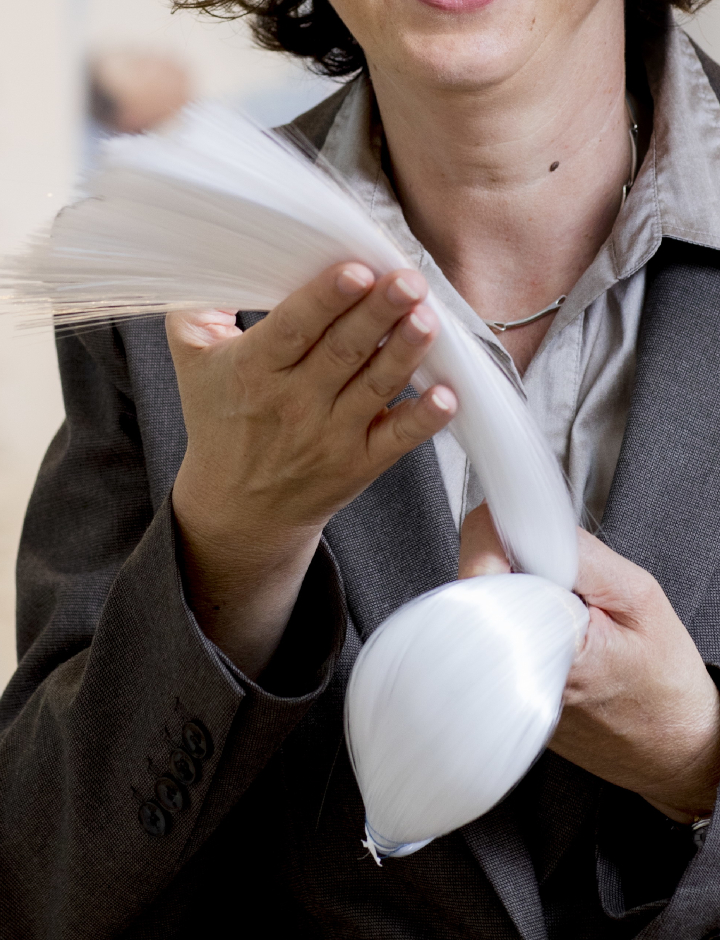 Light Guide Rods | SCHOTT